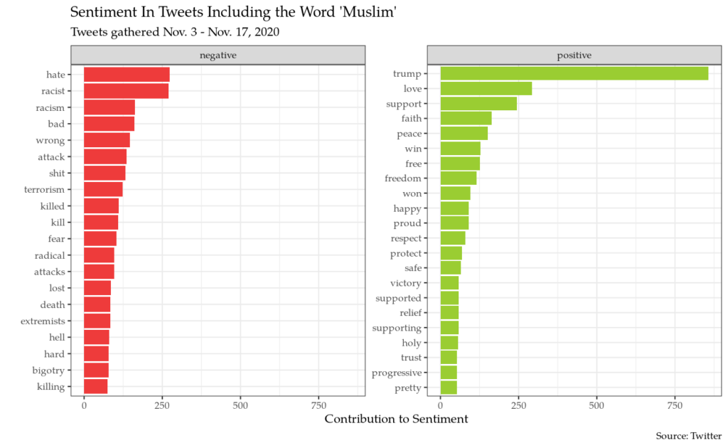 Perpetuating Islamophobic Discrimination in the United States ...