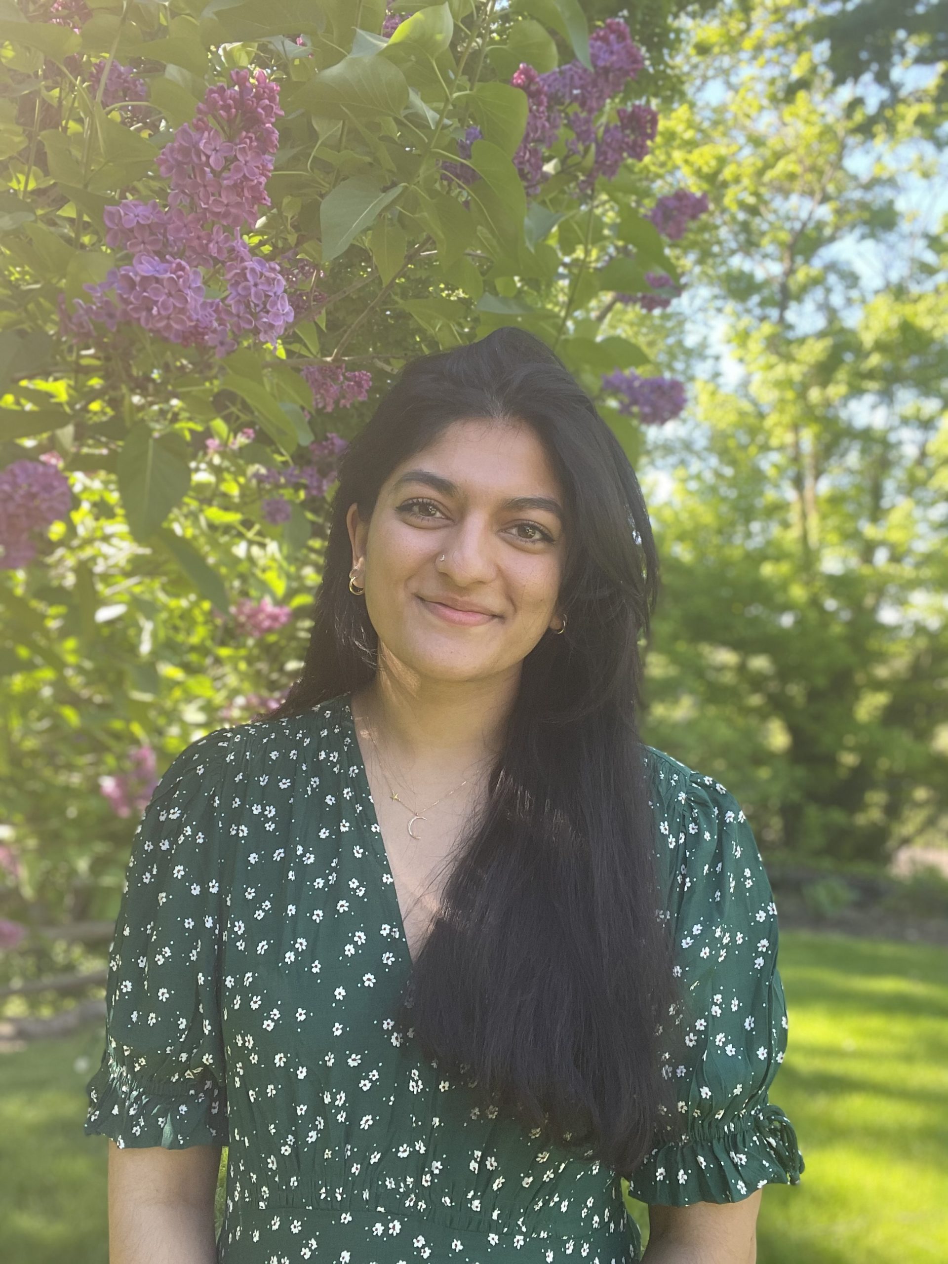 Falling Through the Cracks: Kashmir’s Resistance Against Settler ...